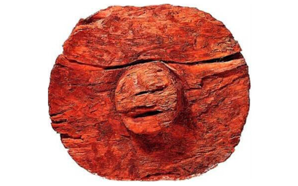 How Many Wheels are in the World? A Fascinating Look at the Global ...